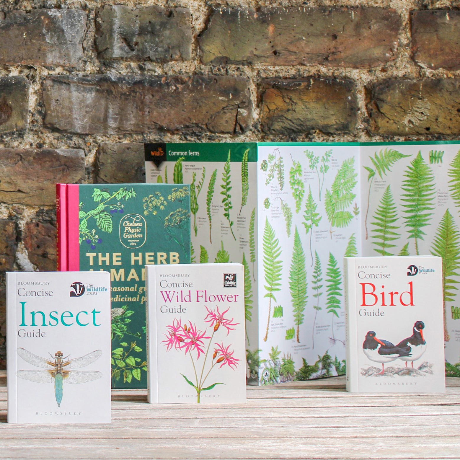 Books and Guidebooks – Chelsea Physic Garden Enterprises