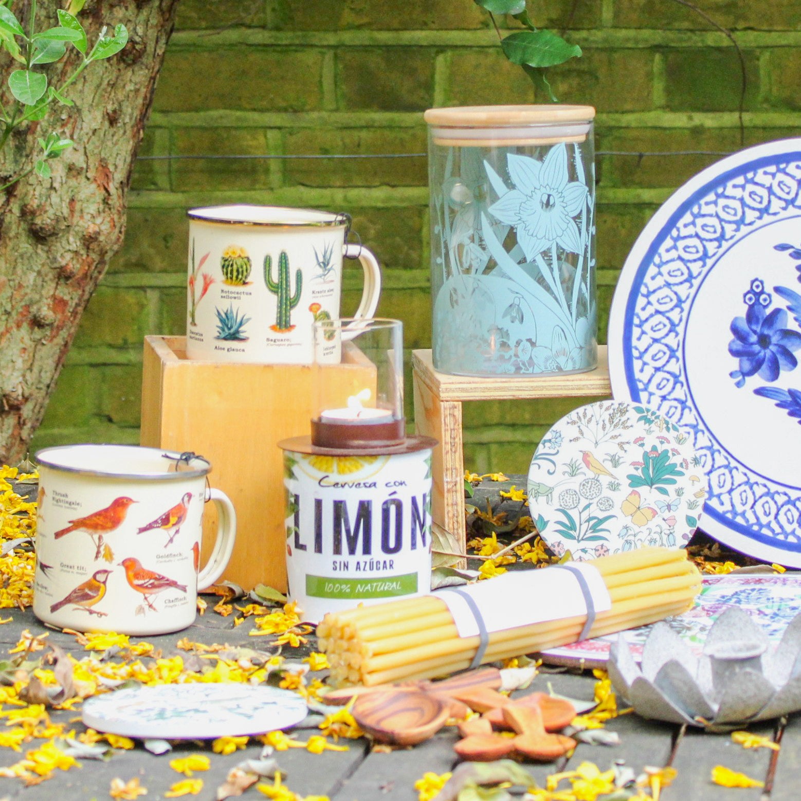 Kitchen and Dining – Page – Chelsea Physic Garden Enterprises